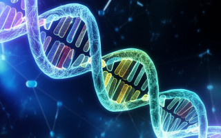 На пути к долголетию: как Longevity меняет правила игры